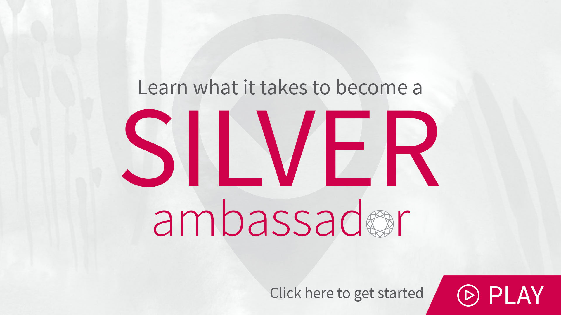 Silver Ambassador Archives - Plexus Worldwide
